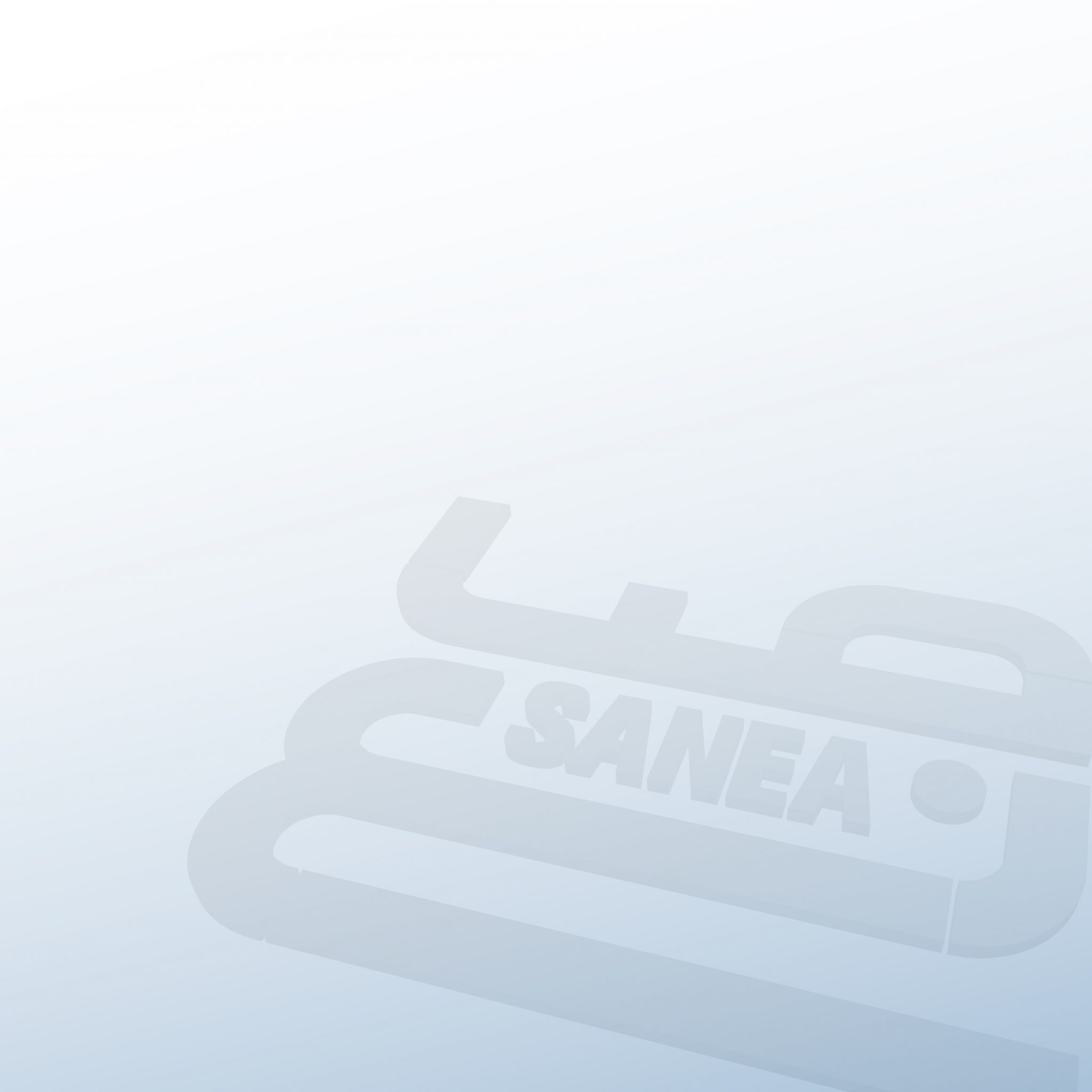 Case Study: Sanea Program - Ibtechar